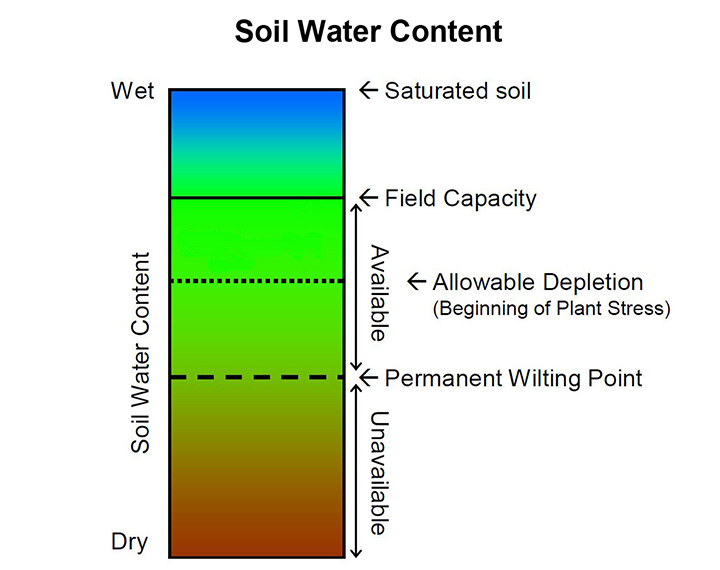 Soil Water Content